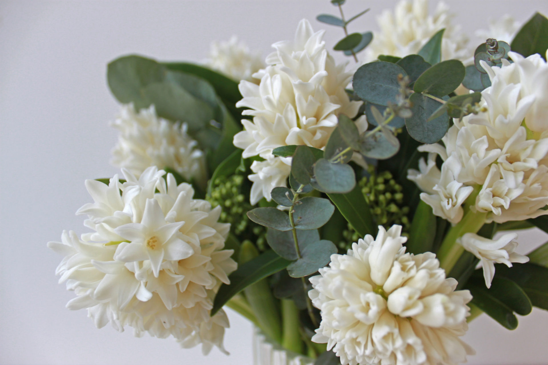 The Cassandra - Jazz Flowers