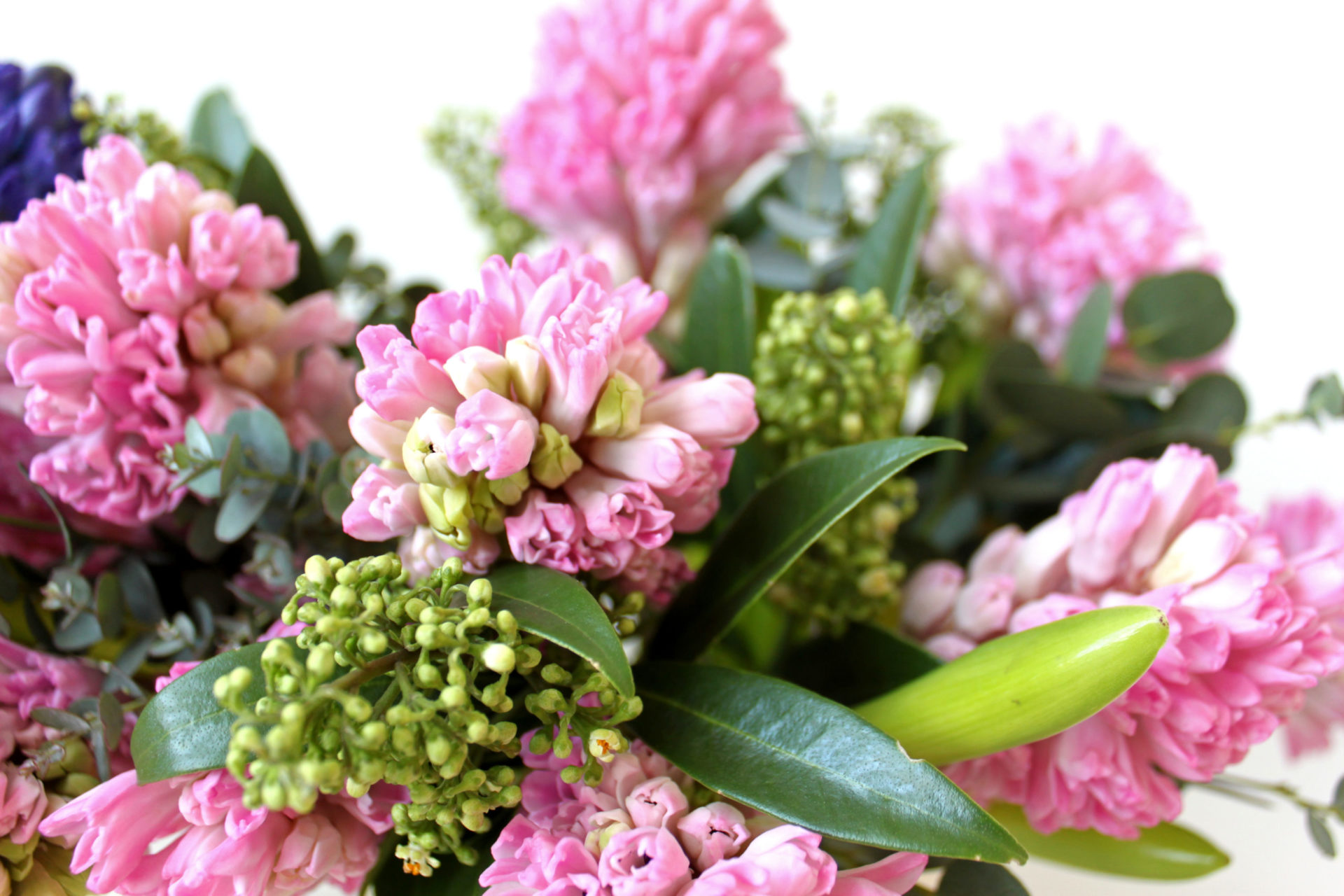 The Cassandra - Jazz Flowers